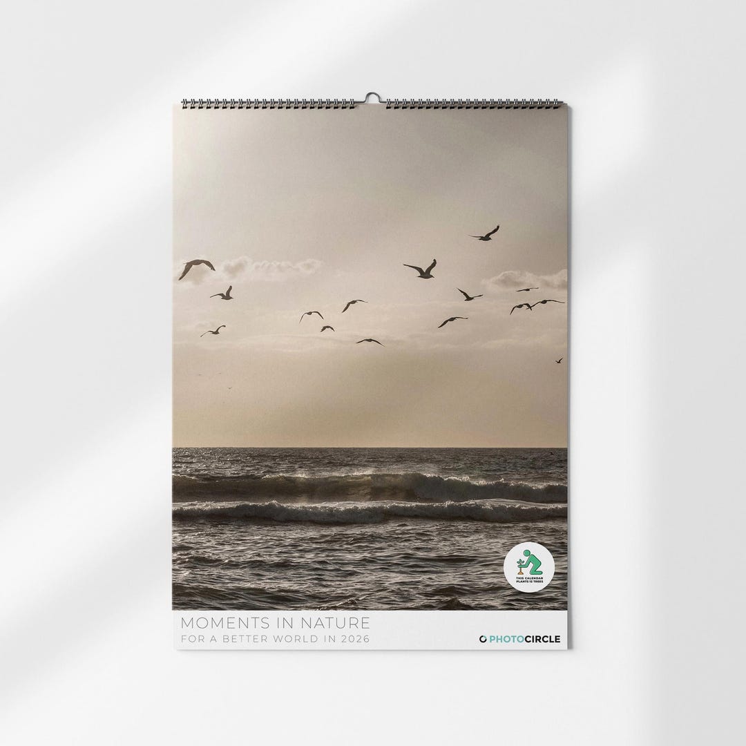Moments in Nature Photo Calendar 2026 / Beautiful Wall Calendar With ...