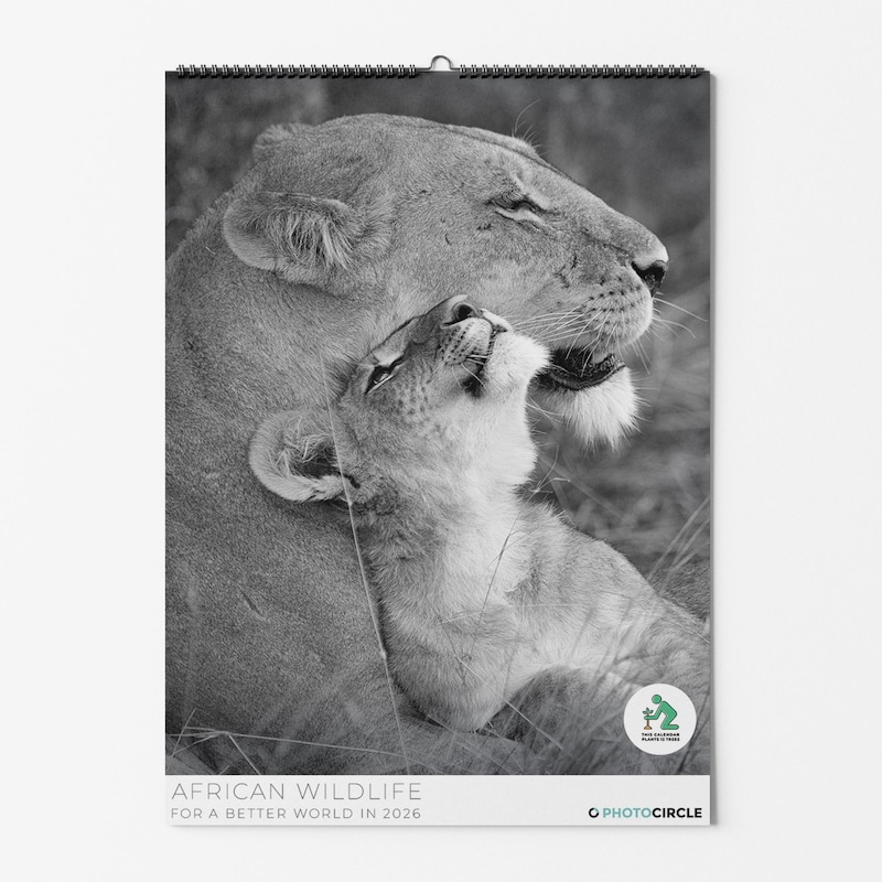 African 2026 Calendar - Etsy UK