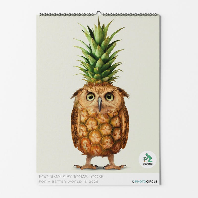 Calendrier humoristique - Etsy France