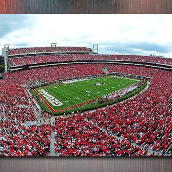 Bulldogs Stadium Svg - Etsy
