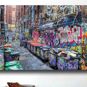 Latitude Run® Graffiti Art In An Urban Alley Photo Art