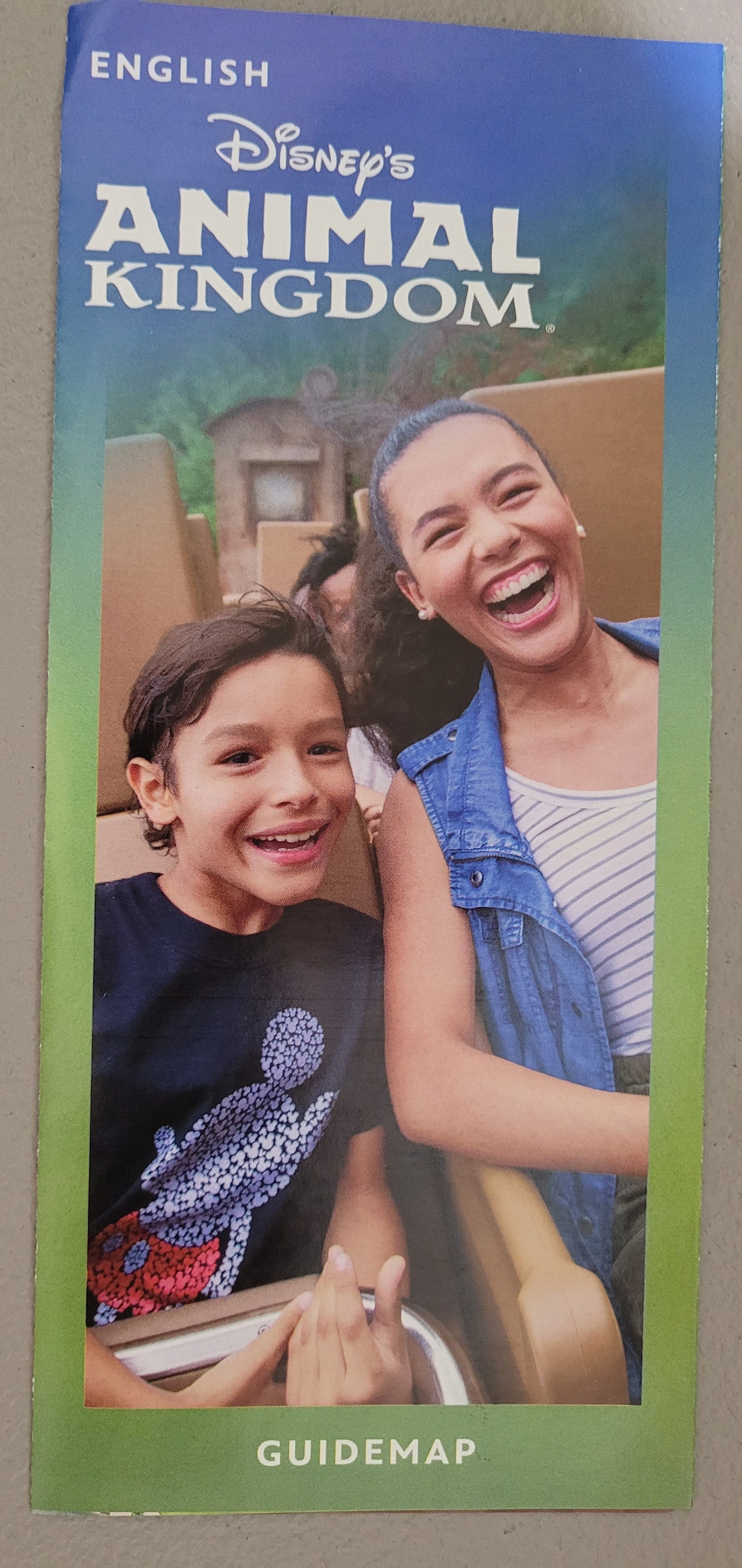 NEW 2024 Disney Park Map Brochures Walt Disney World | All 4 Parks - 7 ...