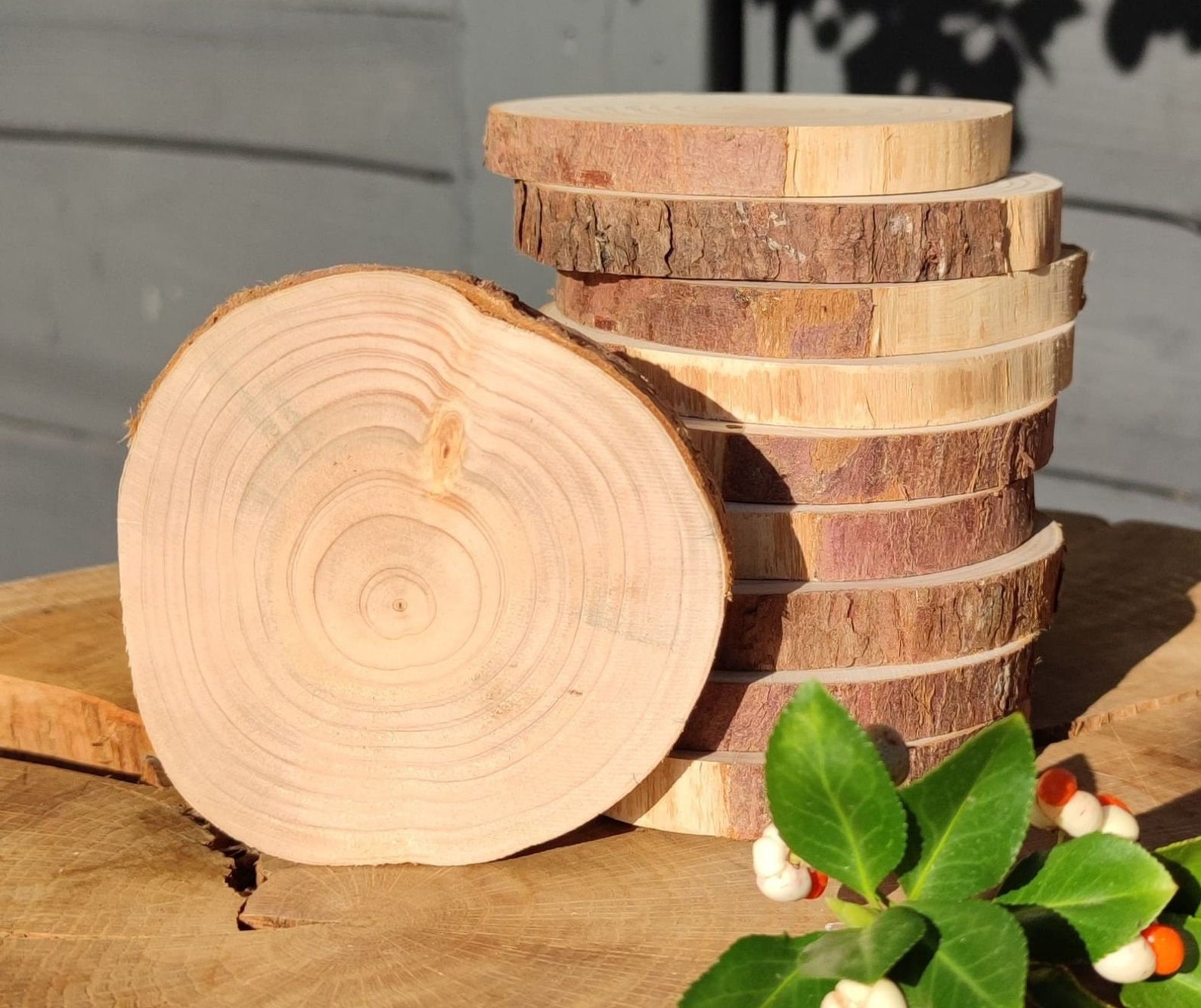 Wooden Slices Rustic Wood 1-100pcs 2-20cm 0.8-8 - Etsy UK