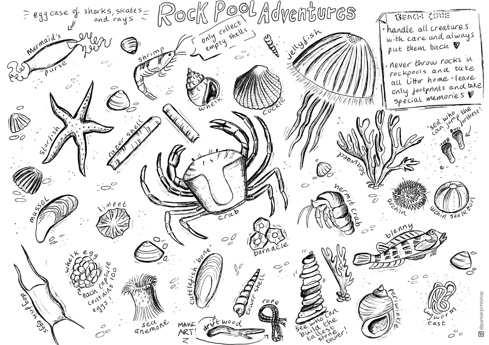 Rock pool adventures printable colouring in poster | Etsy