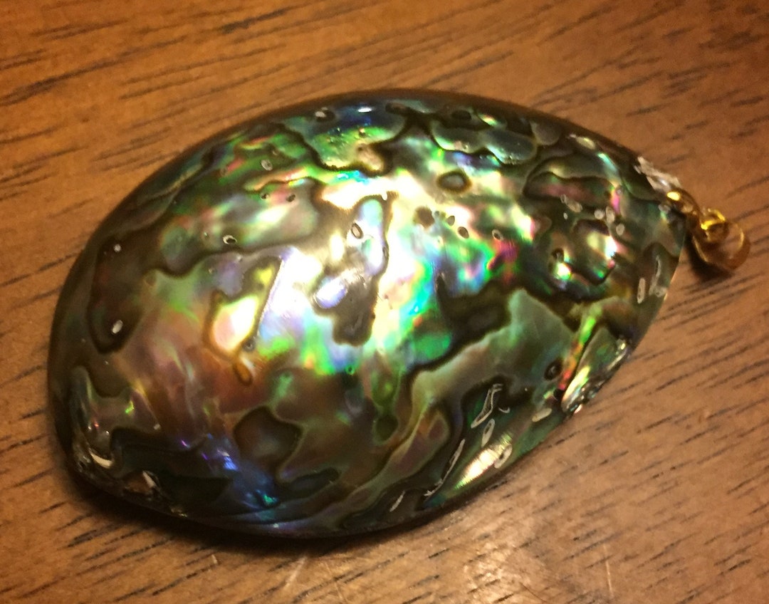 Polished Rainbow Abalone Shell Pendant - 2 Inches+ Each - Etsy