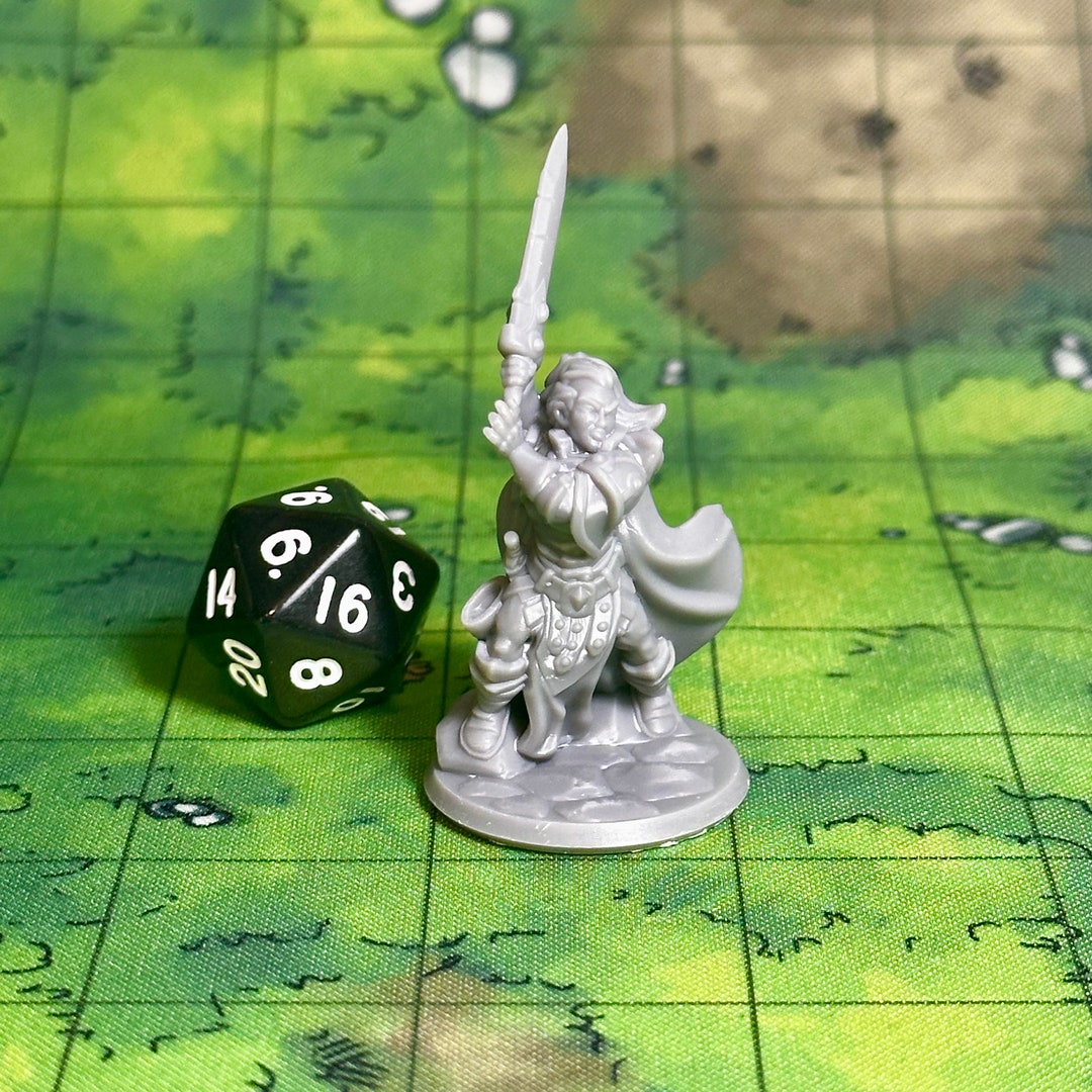 Paladin Female 01, 12k Resin Dungeons and Dragons Miniatures Dnd D&D ...