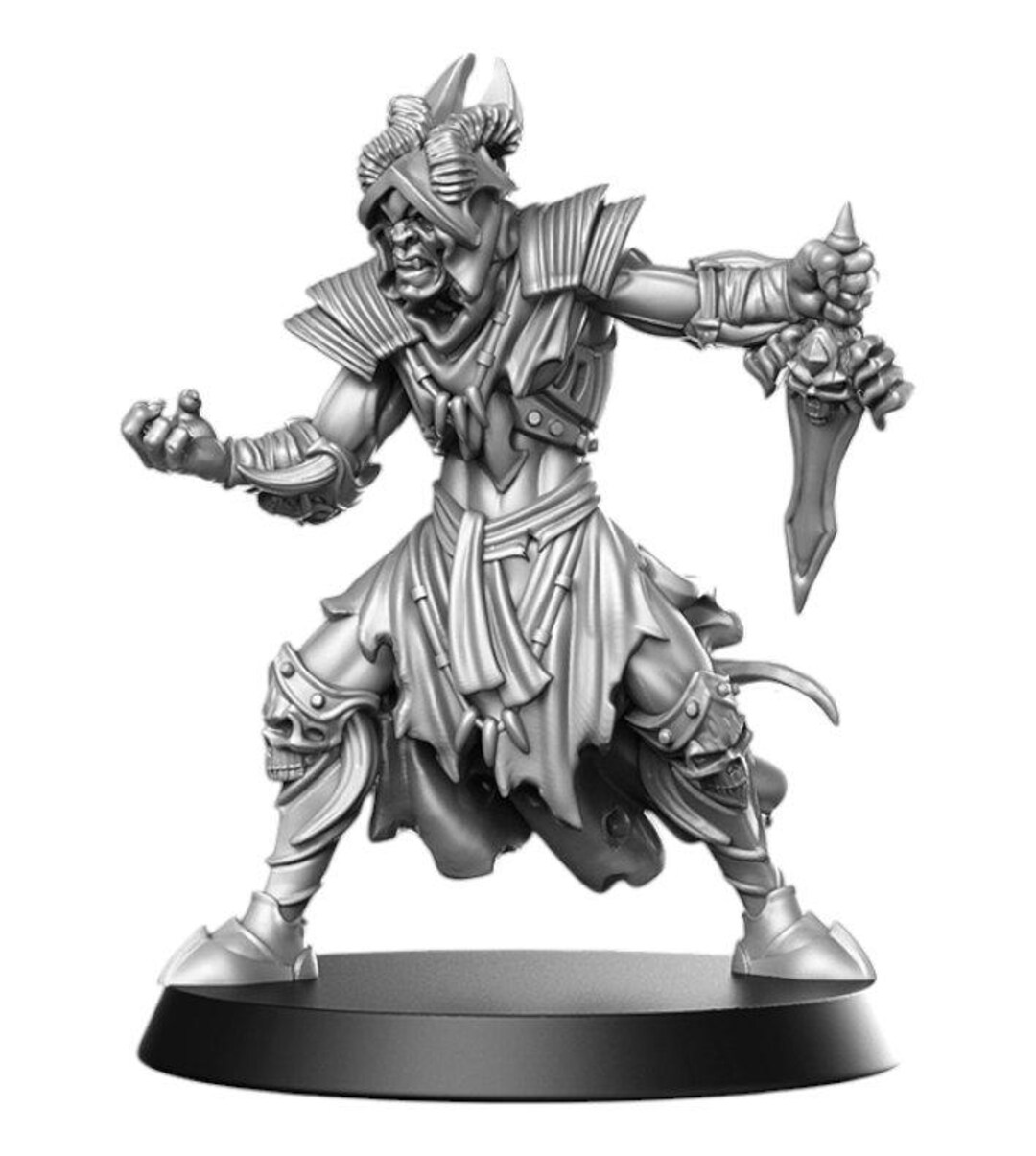 Rochard, 14k Resin Dungeons and Dragons Dnd Miniatures D&D Mini 32mm ...