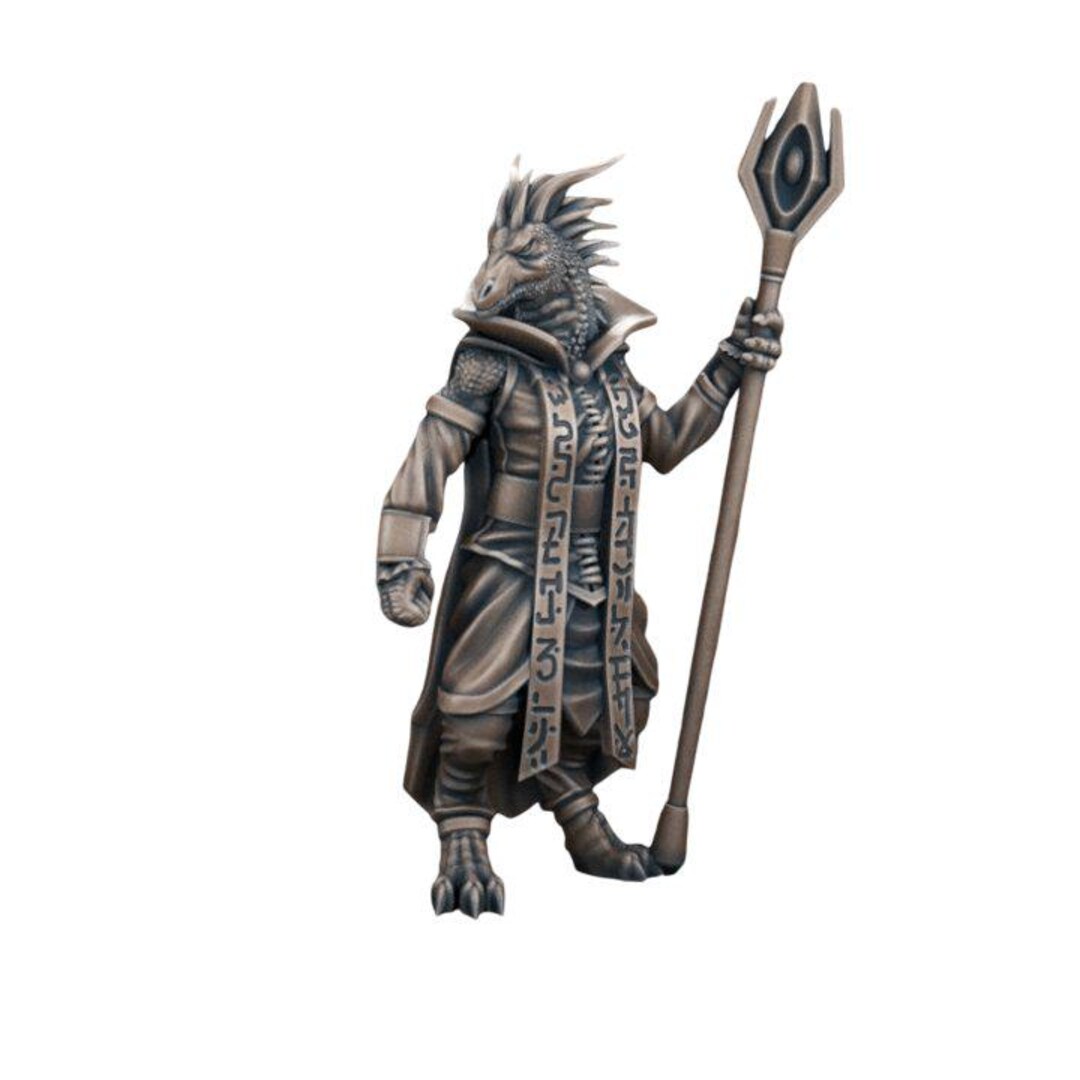 Dragonborn Female Wizard, 14k Resin Dungeons and Dragons Dnd Miniatures ...