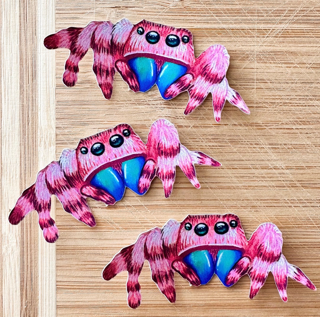 Regal Jumping Spider Sticker, Mystical Sticker, Spider Sticker, Jumping ...