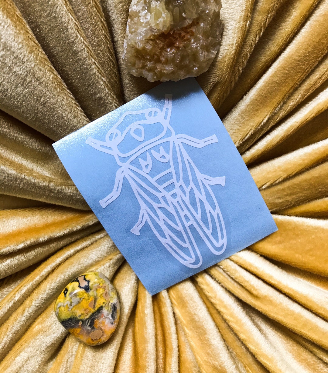Cicada Bug Decal - Etsy