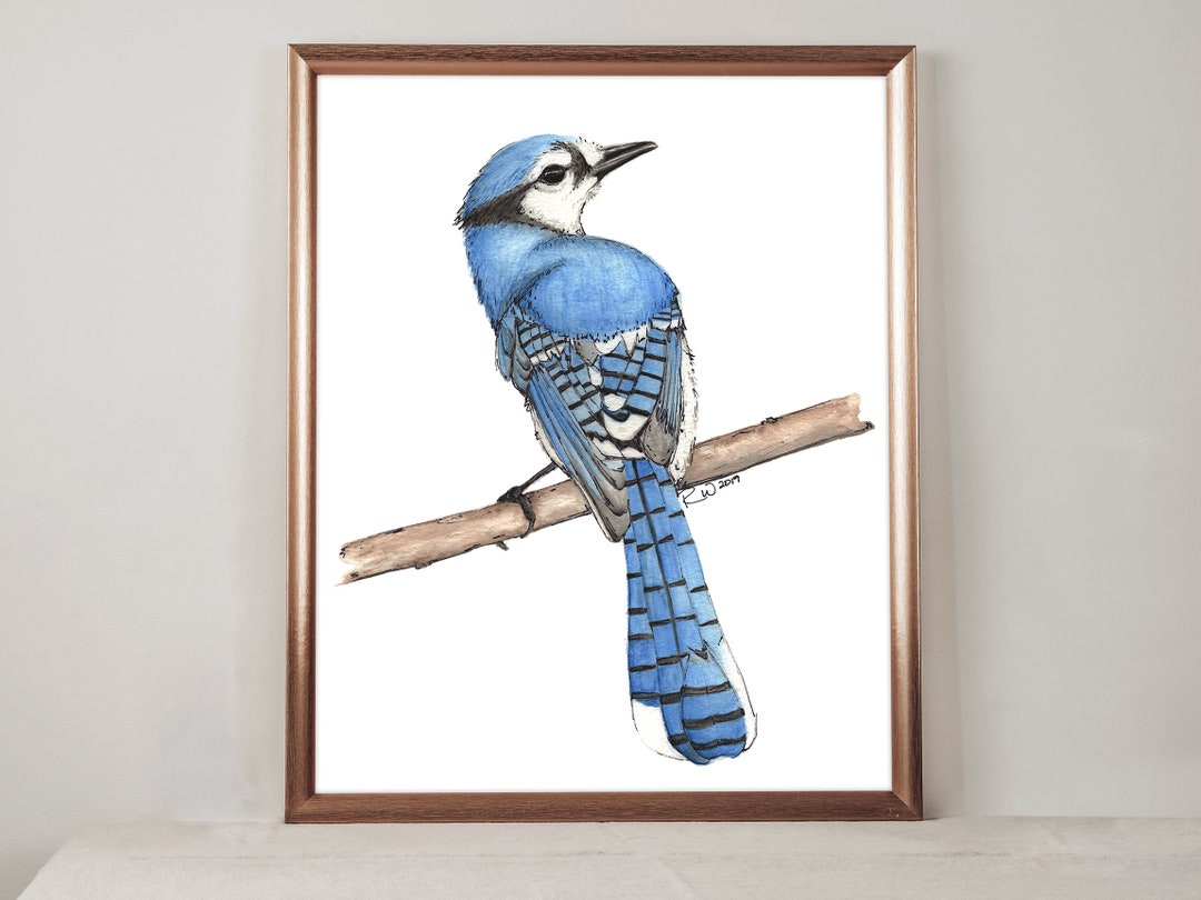 Blue Jay Watercolor Print | Bird Illustration | Home Decor | Instant ...