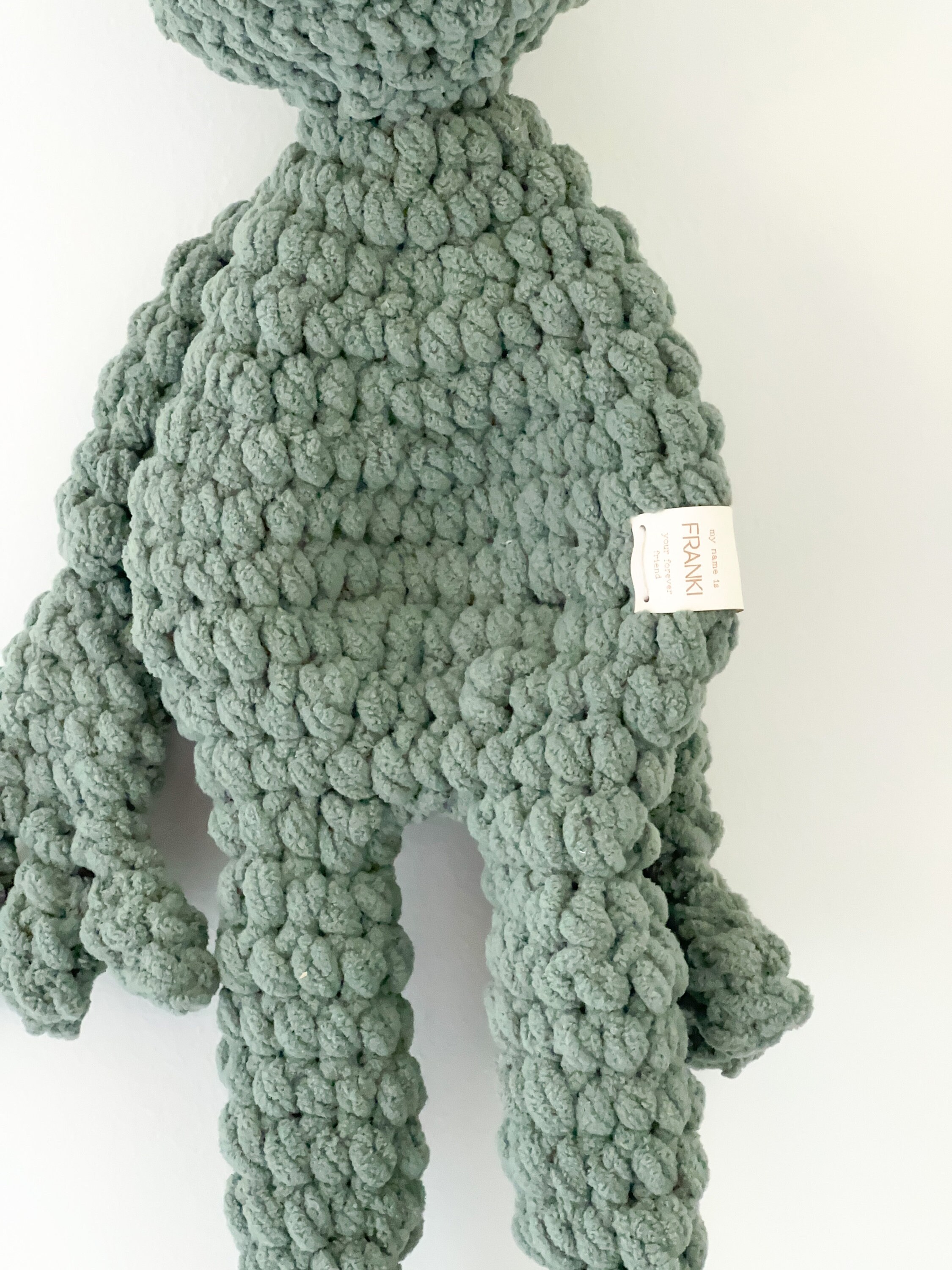 Franki the Frog | Frog Snuggler | Frog Lovey | Crochet Frog | Vintage ...
