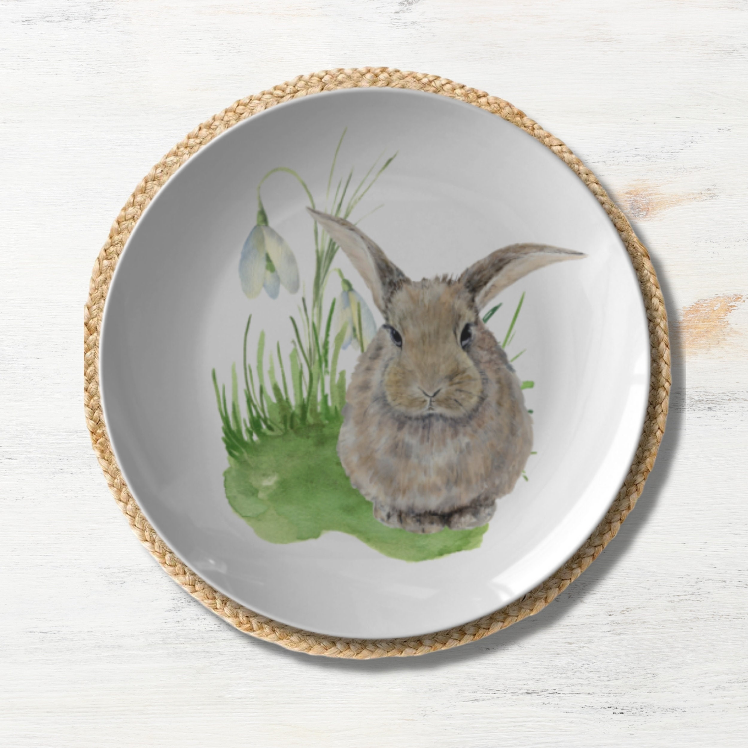 Bunny Rabbit Dinner Plate Bunny Rabbit Table Decor, Bunny Dinner Plates ...