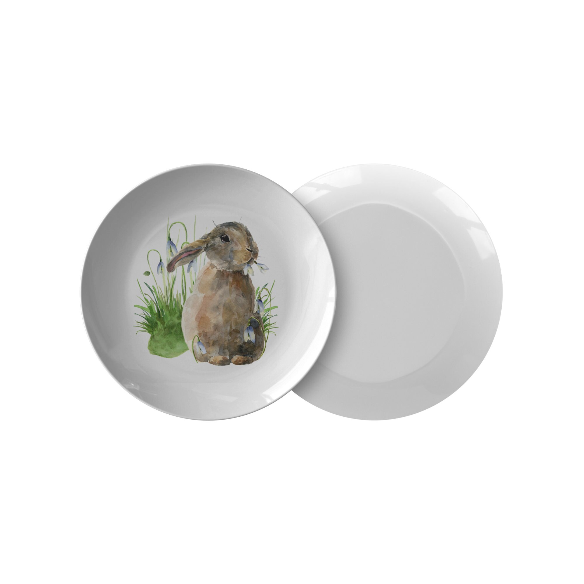 Easter Bunny Plate Spring Rabbit Plates Floral Plate Set Nature Themed ...