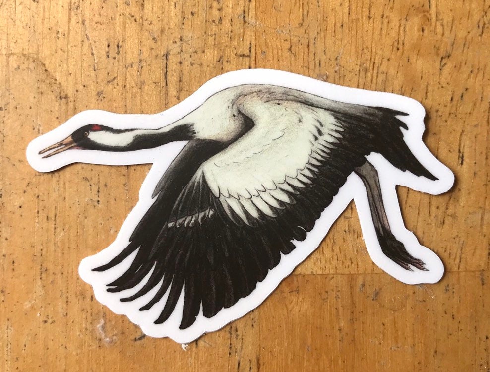 Common Crane Vinyl Sticker - Etsy
