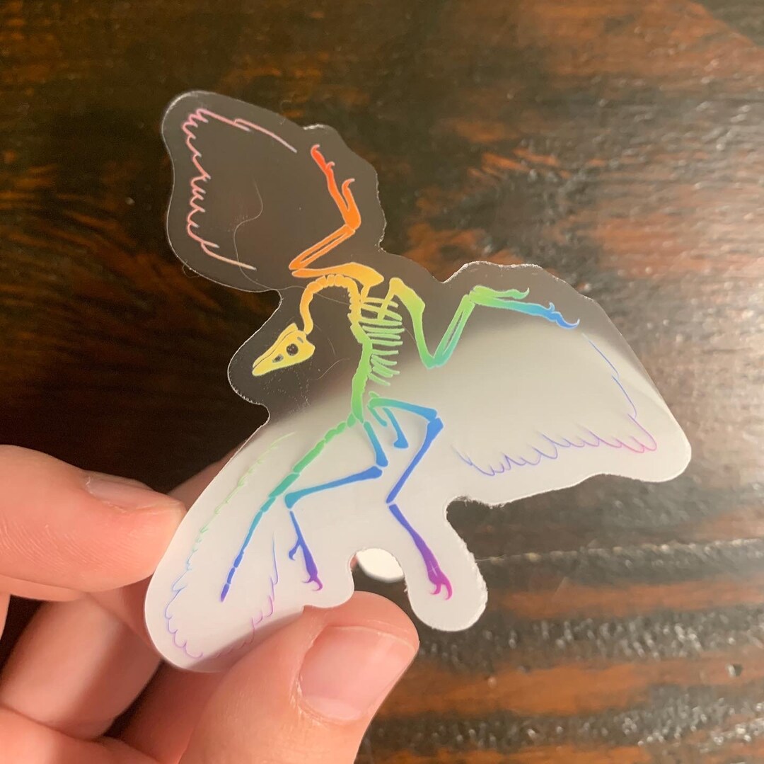 Rainbow Archaeopteryx Fossil Sticker - Etsy