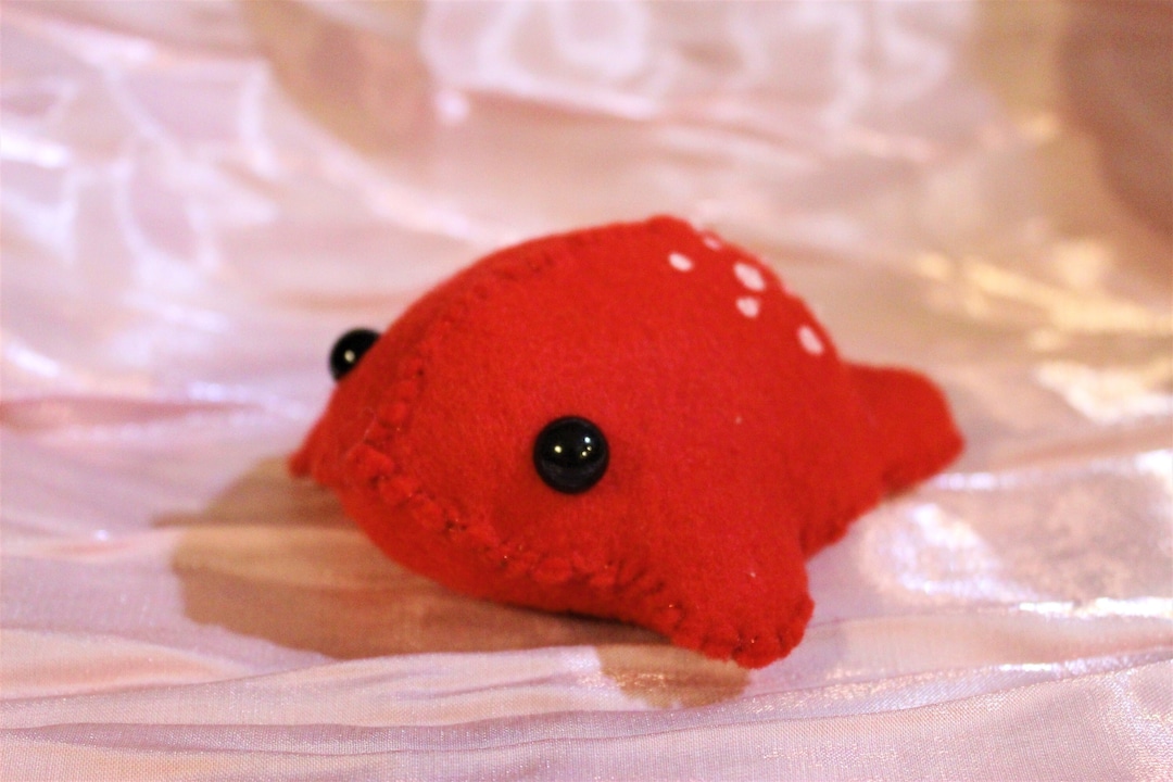 Study Buddy, Felt Frogs, Frogs, Plush, Plushie, Cute, Small, - Etsy