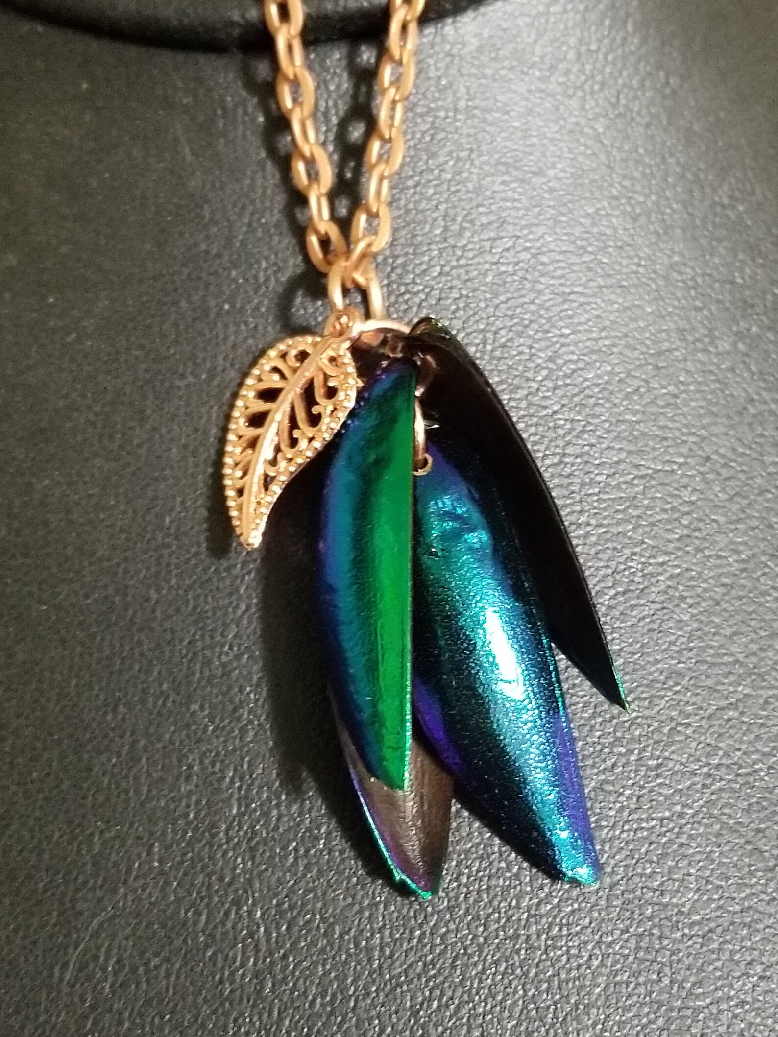 Elytra Beetle Wing Pendant and Earrings With Copper Chain - Etsy