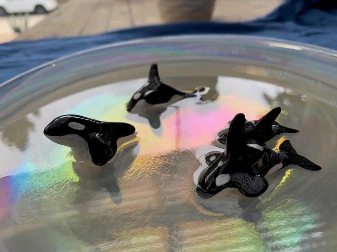 Glass Dish Full of Orcas - Etsy