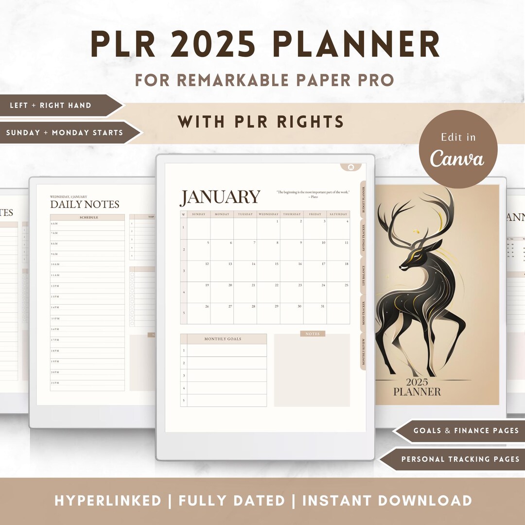 PLR Hyperlinked Digital Planner 2025 for Remarkable Paper Pro, Editable ...