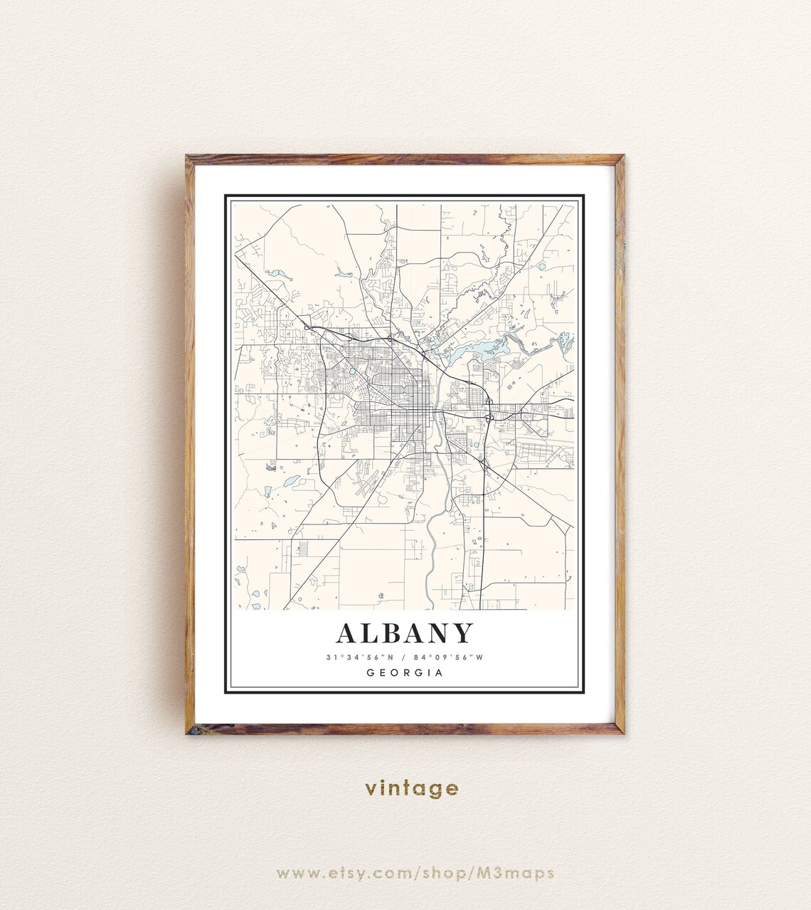 Albany Georgia Map Albany GA Map Albany City Map Albany | Etsy