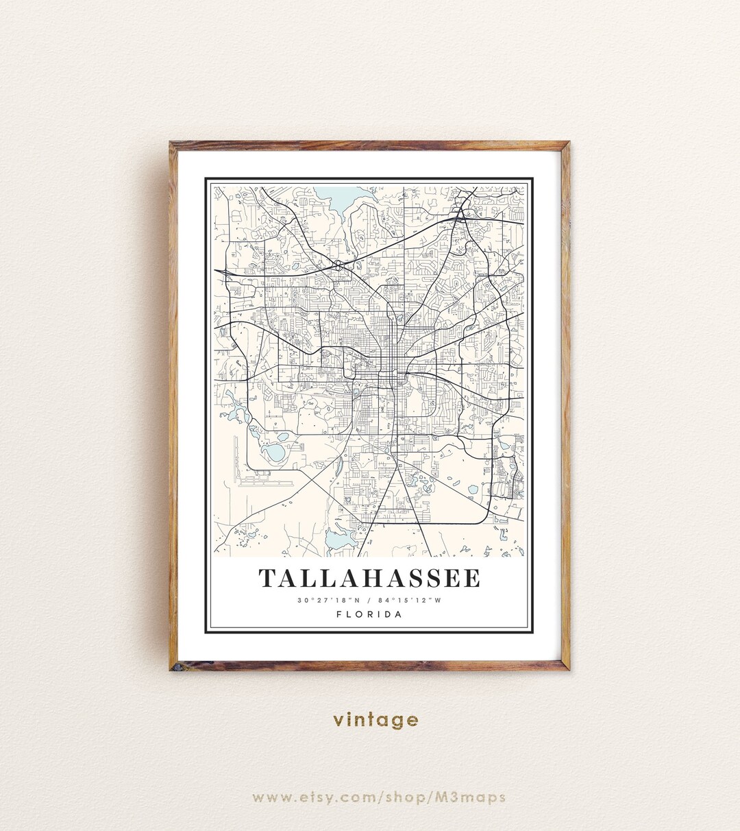 Tallahassee Florida Map Art Print: Cityscape Poster - Etsy