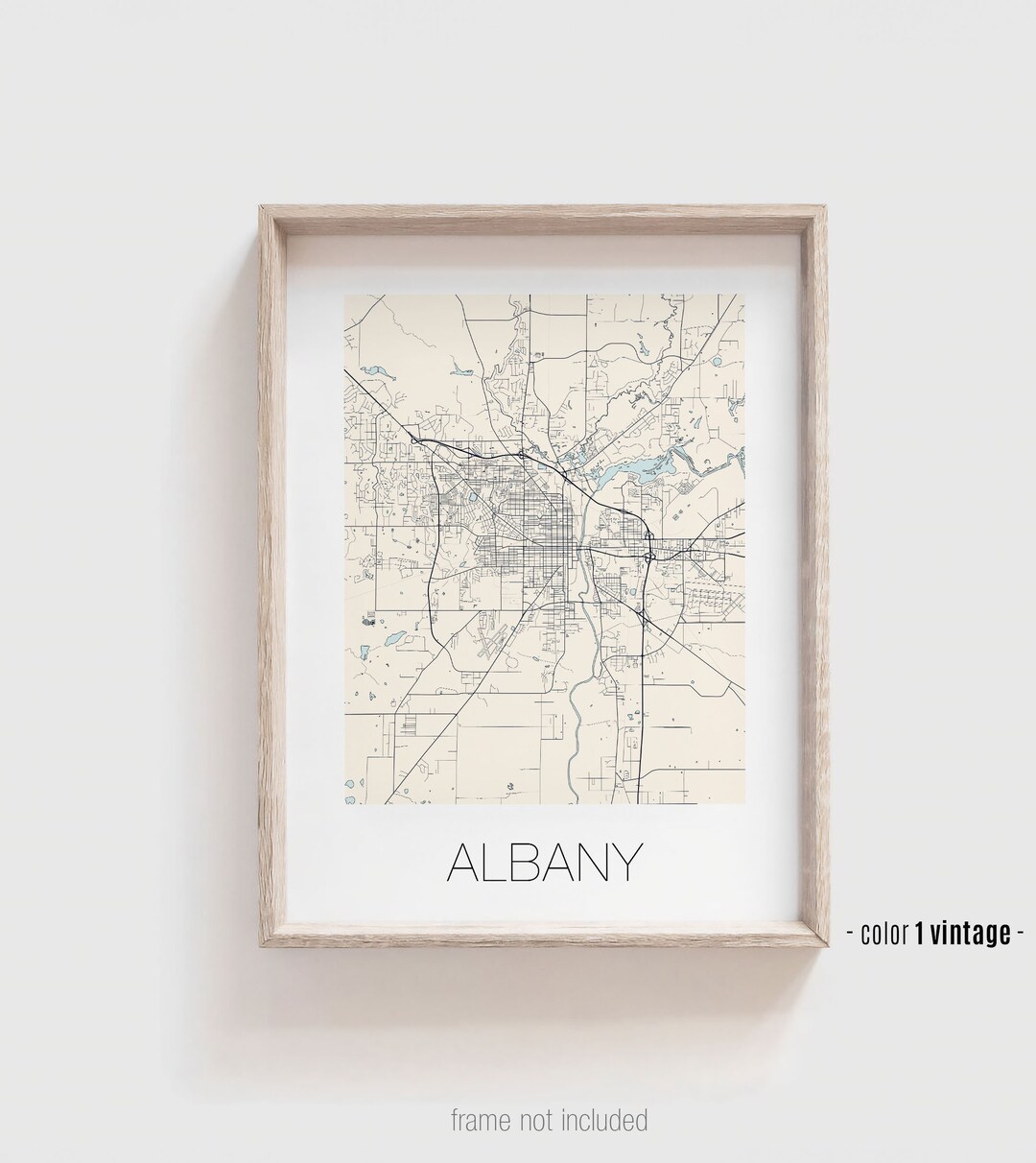 ALBANY GA City Map Poster, Albany Georgia Street Map Print Personalized ...
