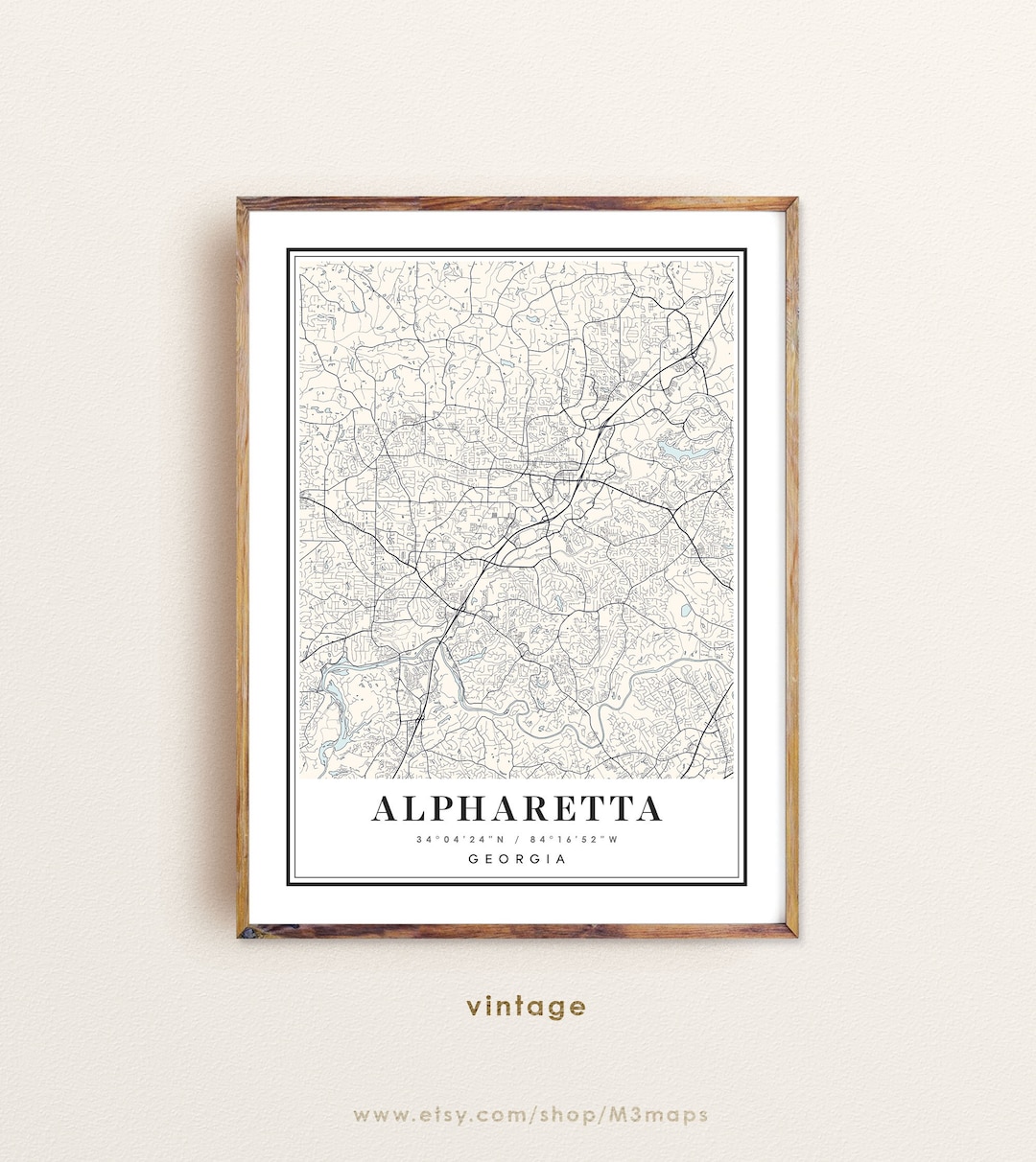 Alpharetta Georgia Map Art Print: Cityscape Poster - Etsy