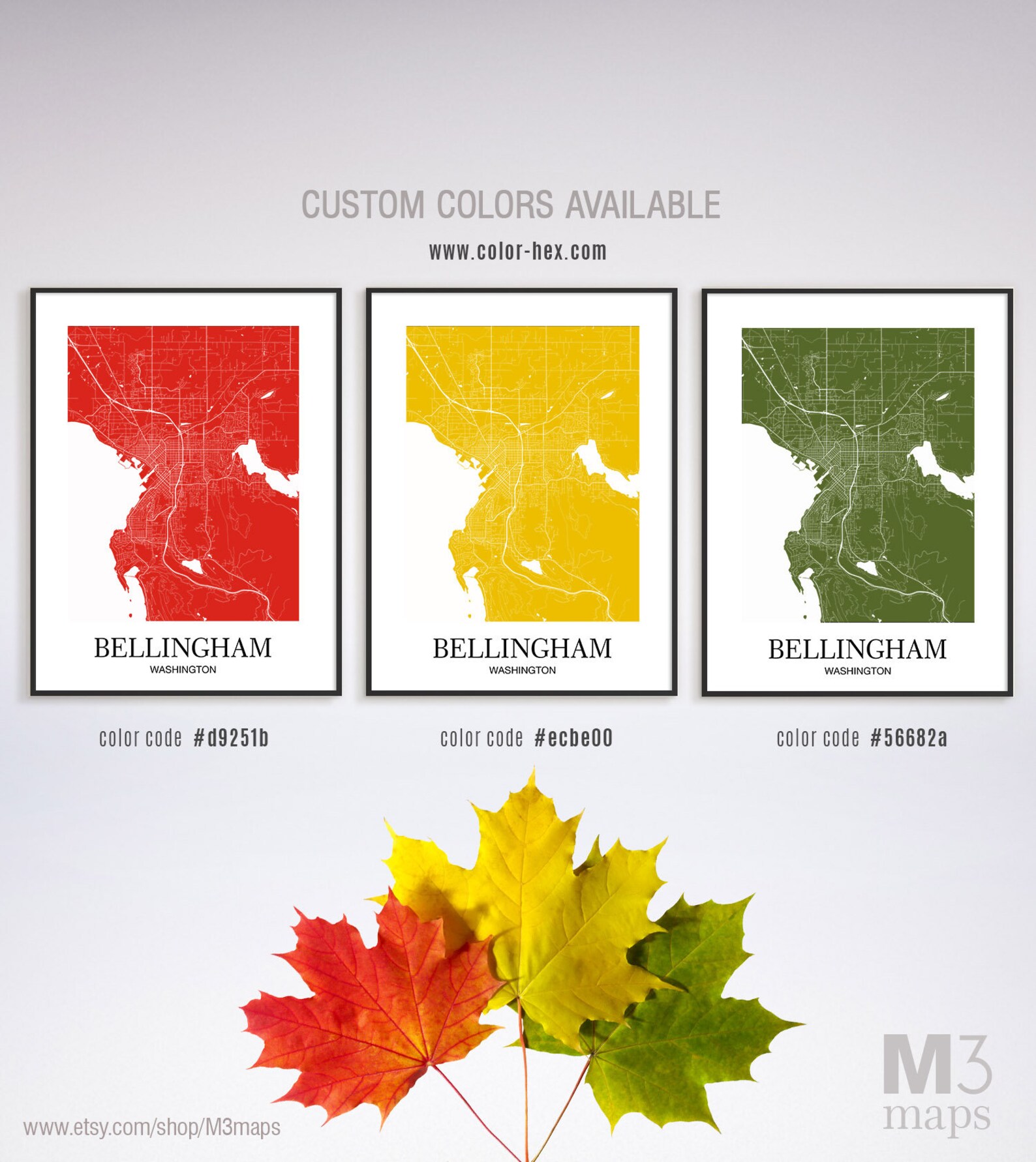 Bellingham Bellingham WA Map Bellingham Modern Art Print | Etsy