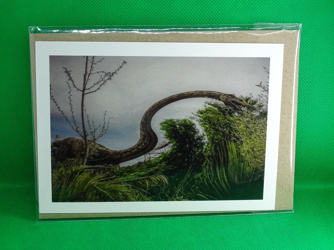Dinosaur | Postcard | Emerald Park - Etsy