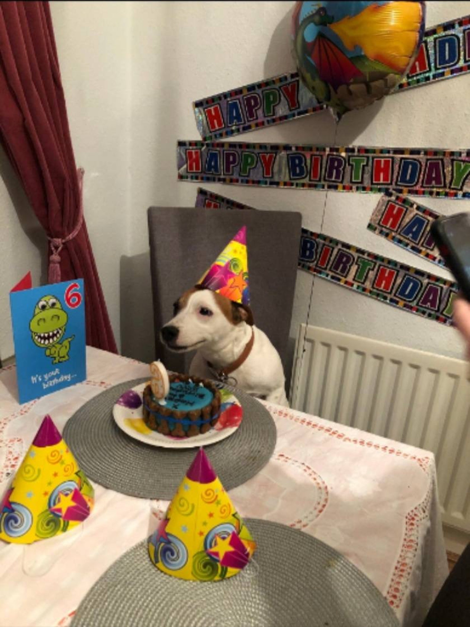 DOG BIRTHDAY CAKE Treat Food Name Personalised Custom Dog | Etsy