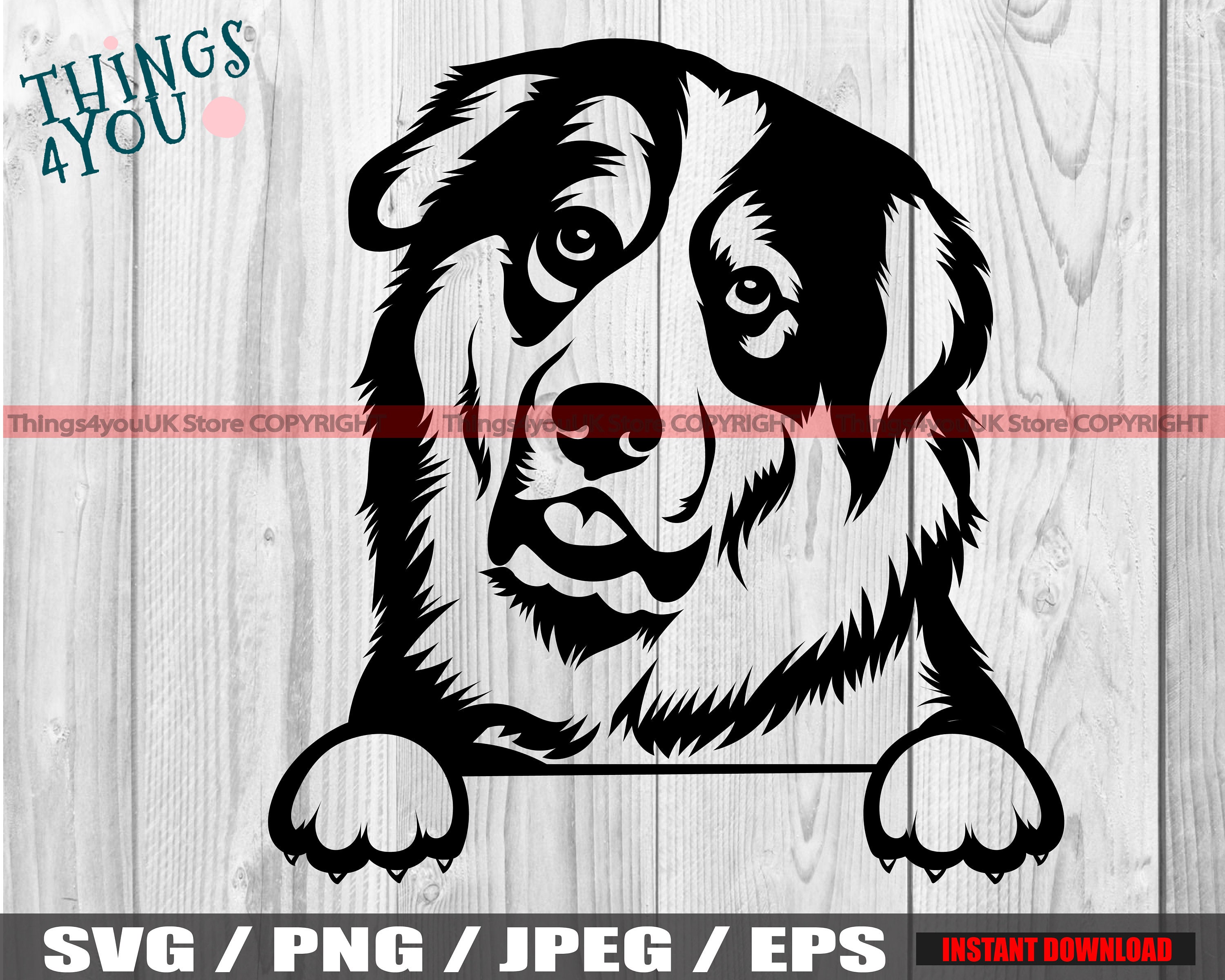 Great Pyrenees SVG, Peeking Great Pyrenees Dog, Peek A Boo, Great ...