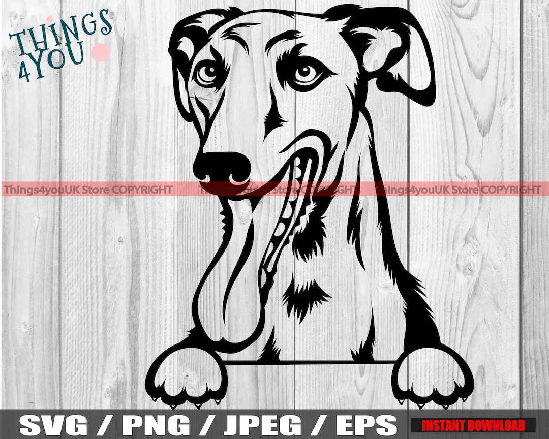 Greyhound SVG, Greyhound Peeking Dog SVG, Greyhound Peek A Boo ...