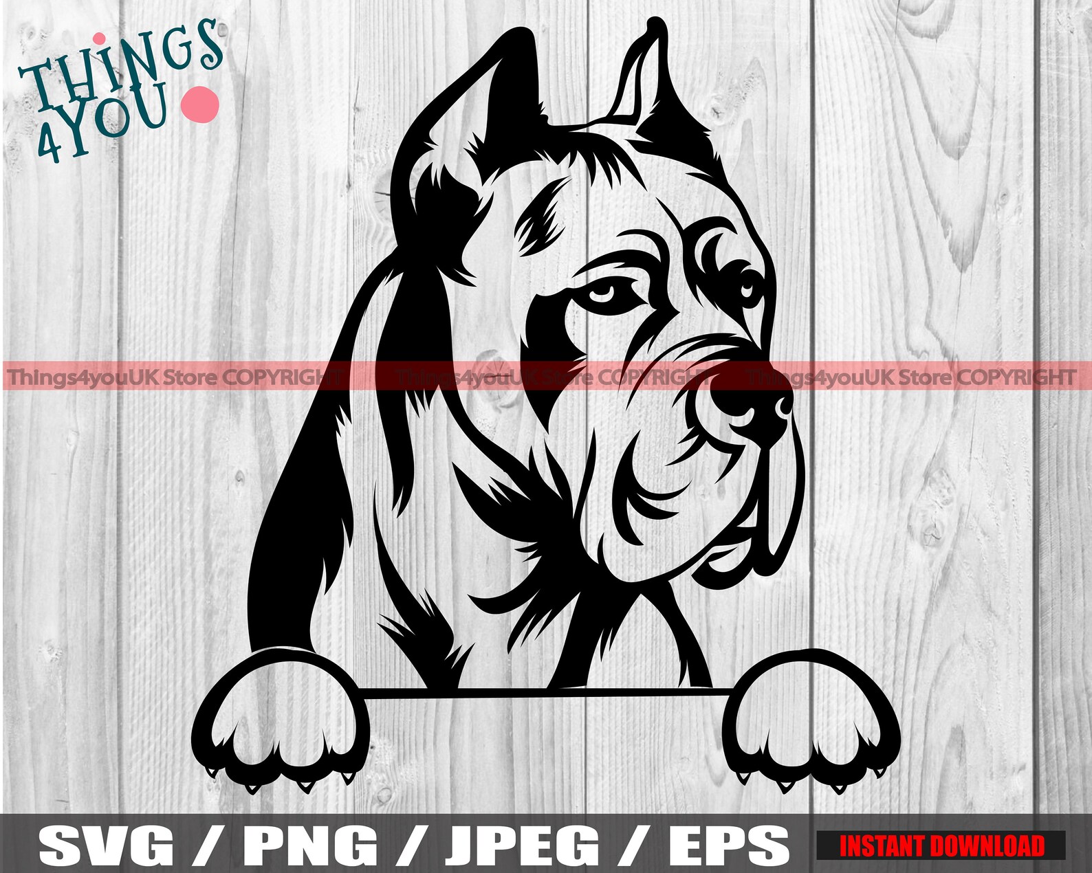 Cane Corso, Cane Corso SVG, Cane Corso Logo, Cane Corso Head, Peeking ...