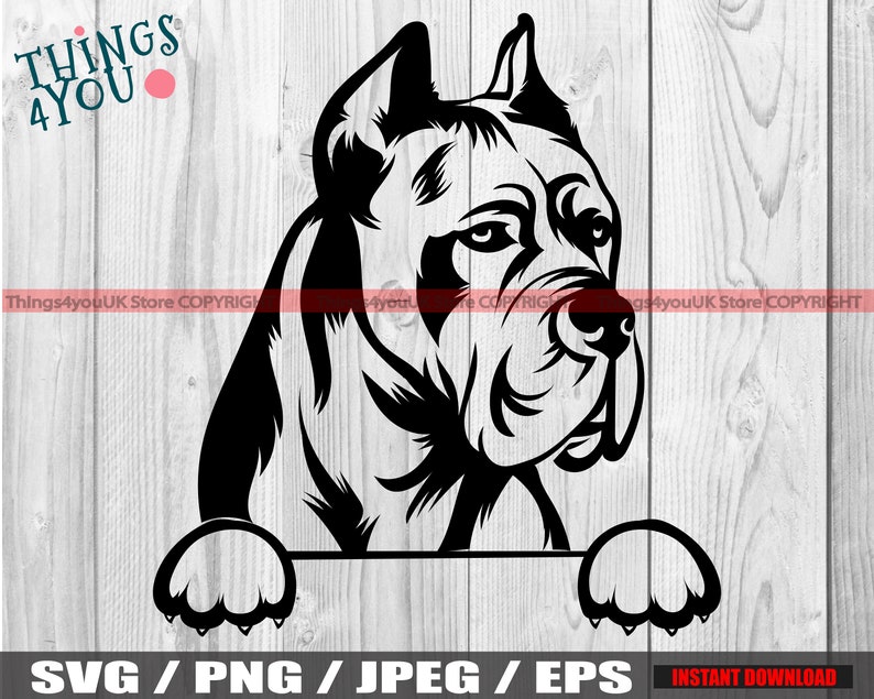 Cane Corso, Cane Corso SVG, Cane Corso Logo, Cane Corso Head, Peeking ...