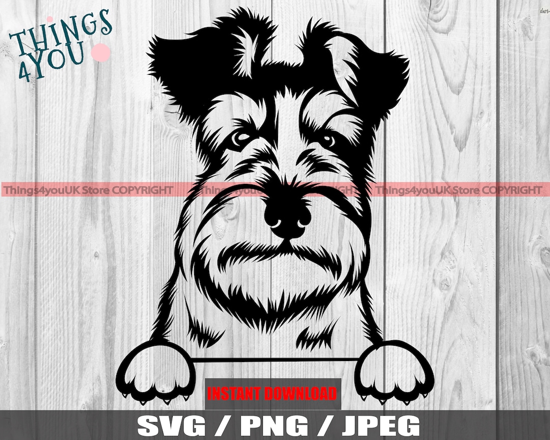 Miniature Schnauzer SVG, Schnauzer, Miniature Schnauzer, Miniature ...