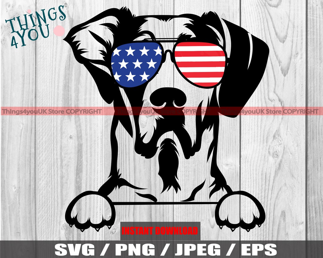 Great Dane SVG, Great Dane in Sunglasses Usa Flag, Great Dane Dog ...