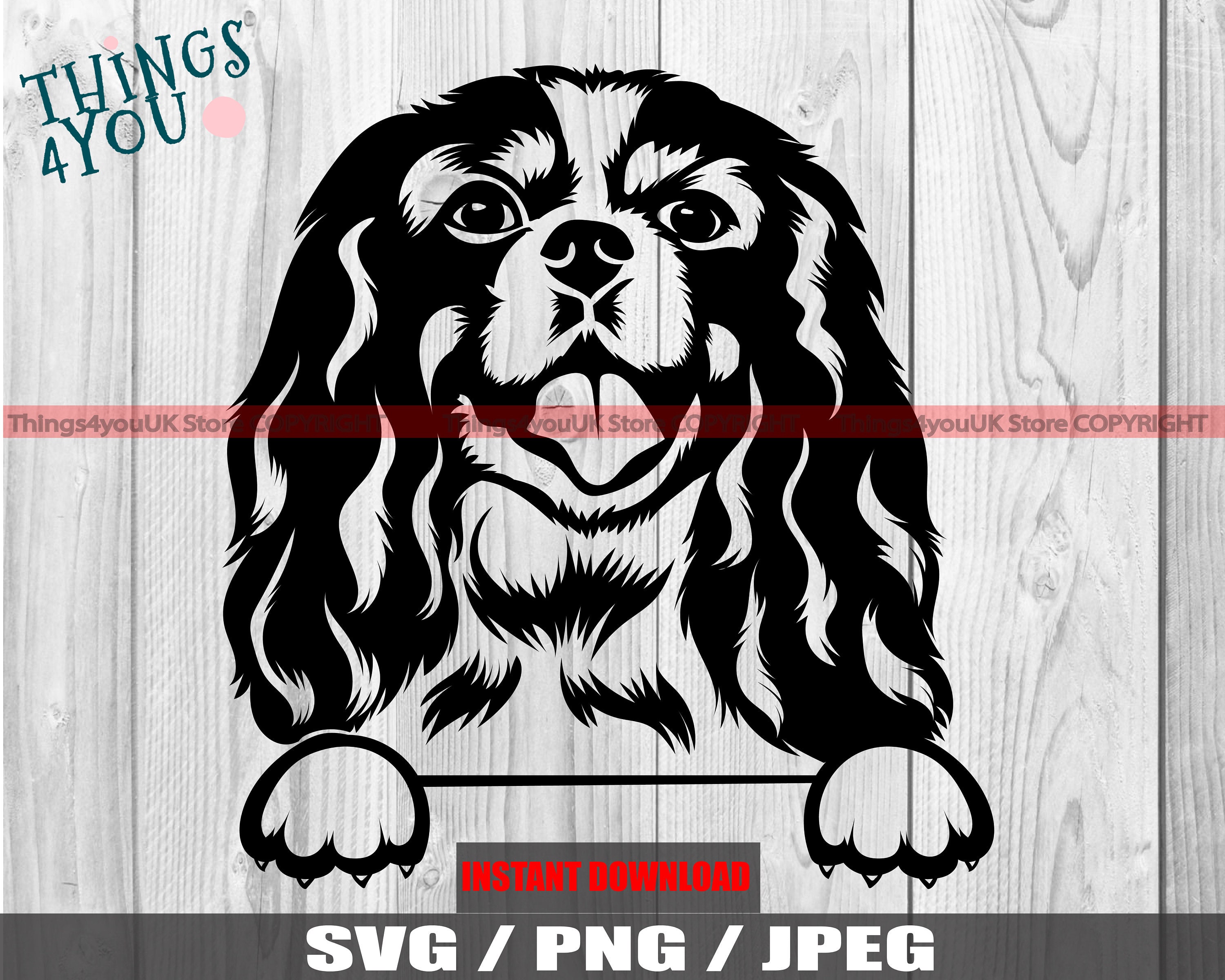 Cavalier King Charles SVG Cavalier SVG Cavalier King | Etsy UK