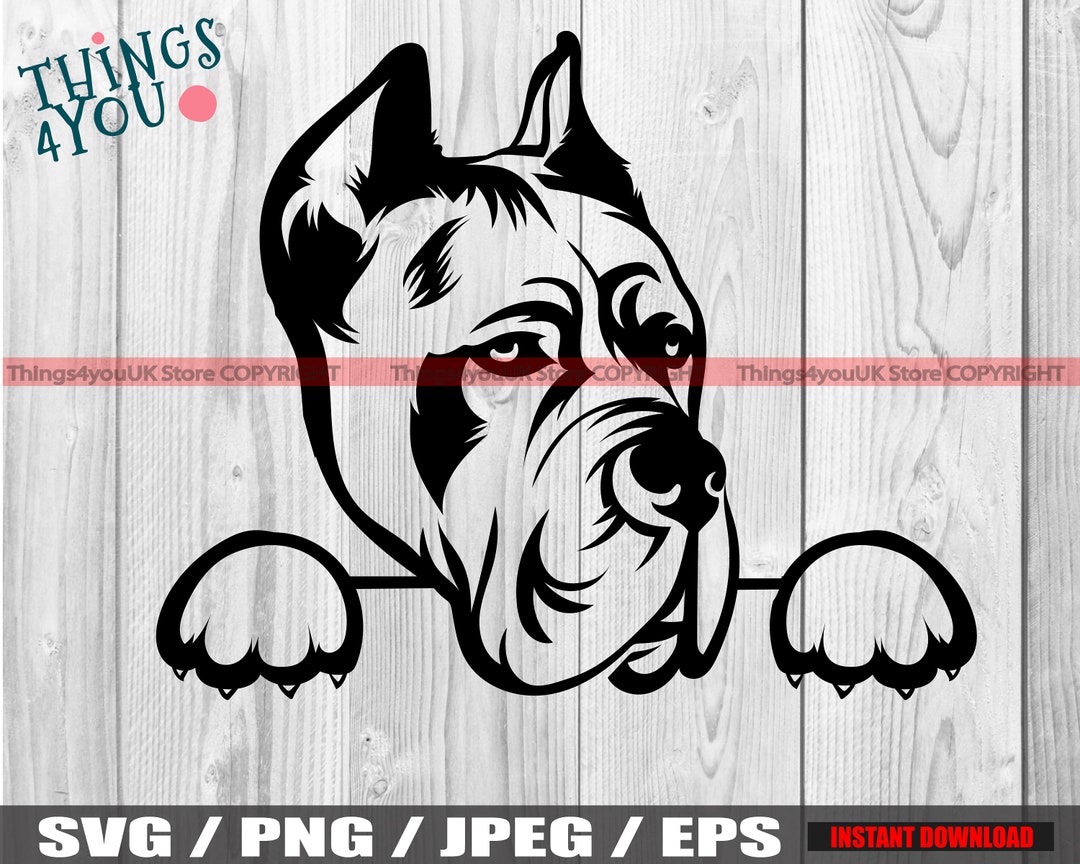 Cane Corso, Cane Corso SVG, Cane Corso Logo, Cane Corso Head, Peeking ...