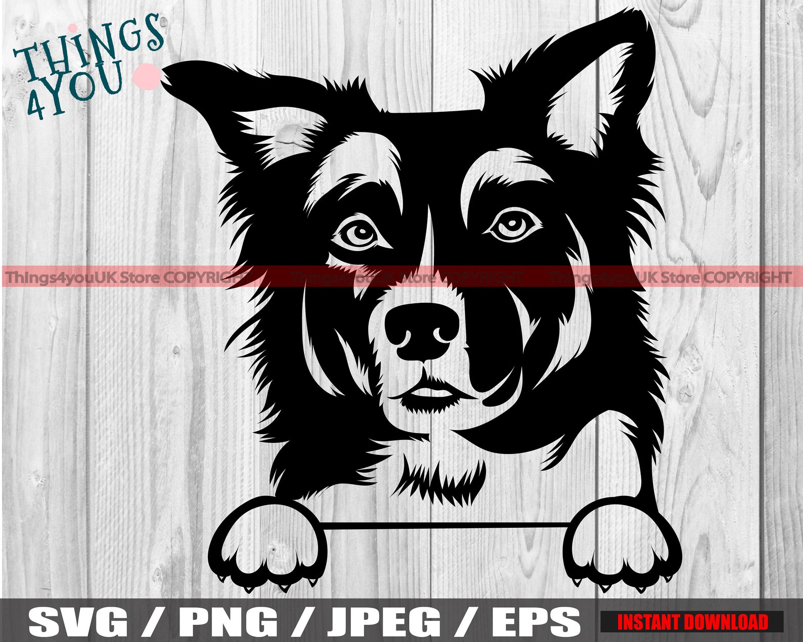 Border Collie SVG, Collie SVG, Collie PNG, Peeking Border Collie, Dog ...