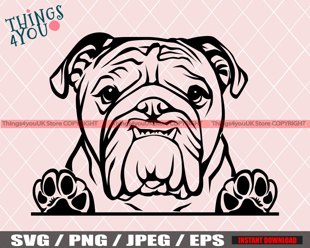 English Bulldog SVG, Old English Bulldog SVG, Bulldog Svg, Bulldog ...