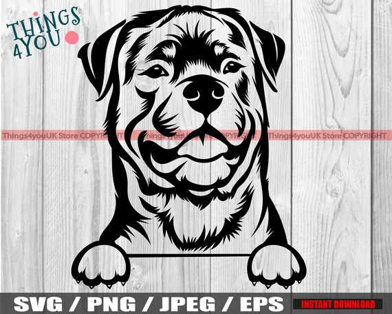 Rottweiler Rottweiler SVG Rottweiler Head Rottweiler Face | Etsy