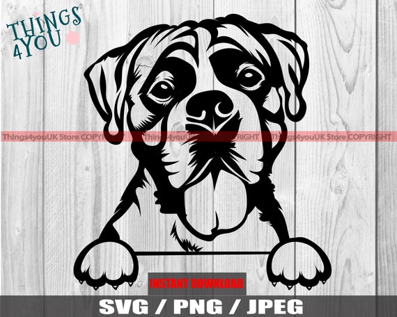 Boxer SVG Boxer Head Boxer Face Boxer Lovers Boxer Peeking - Etsy