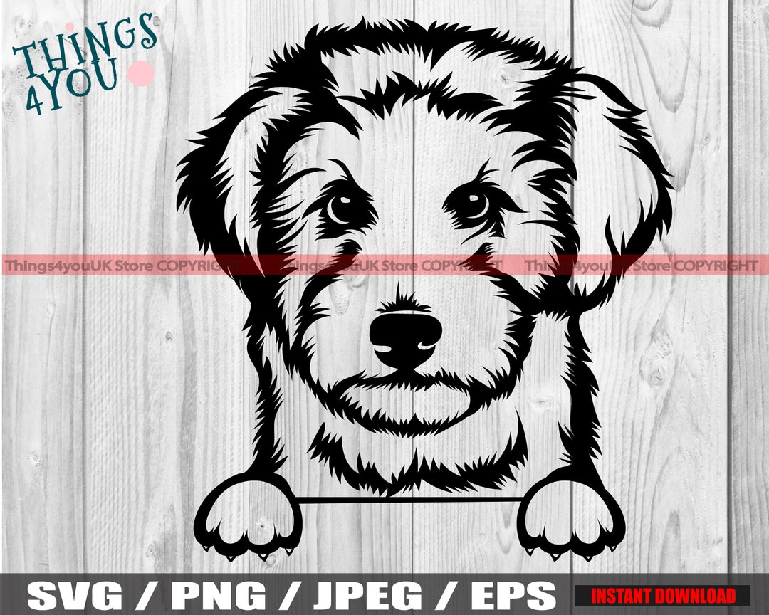 Labradoodle SVG, Goldendoodle SVG, Labradoodle Peeking Dog Svg ...