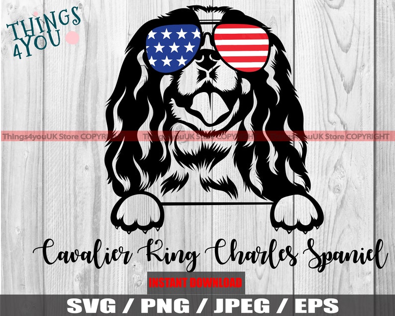 Cavalier King Charles SVG Cavalier SVG Cavalier King | Etsy