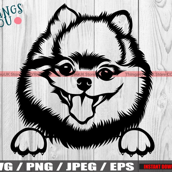 Pomeranian Svg - Etsy