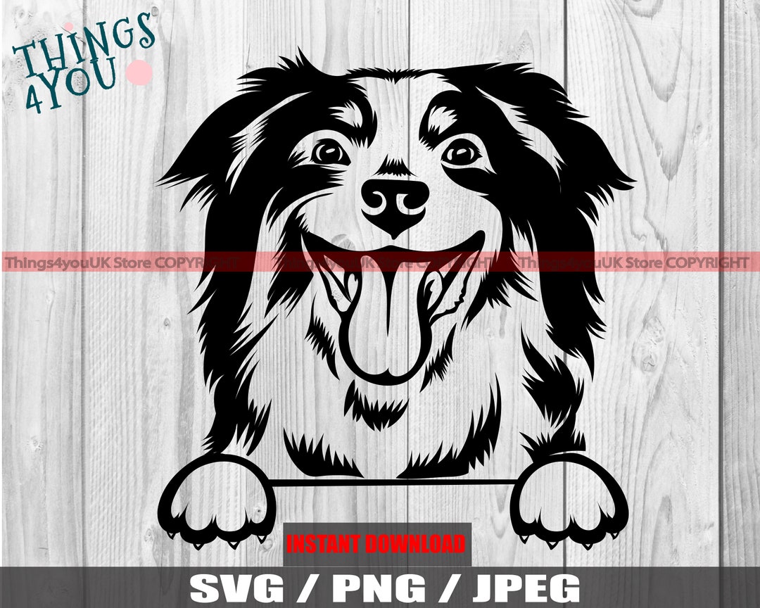 Australian Shepherd SVG, Australian Shepherd PNG, Aussie, Aussie SVG ...