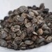 Iru /dry Iru/locust Bean/dawadawa - Etsy