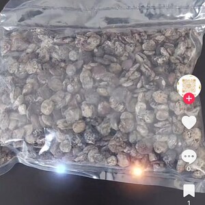 Iru /dry Iru/locust Bean/dawadawa - Etsy