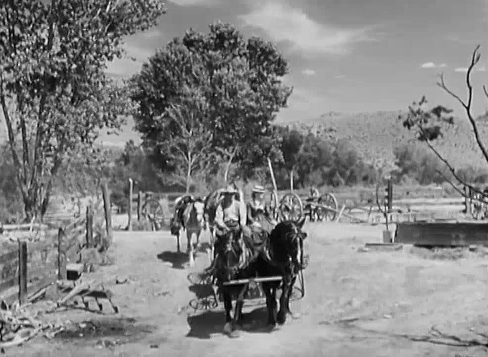 Ramrod 1947 DVD Western Veronica Lake Joel Mccrea Don Defore Donald ...